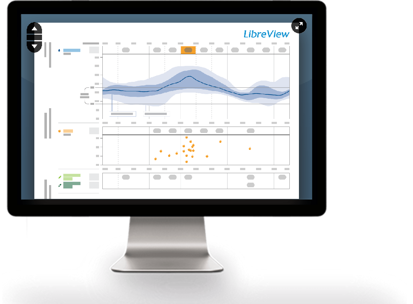 LibreView